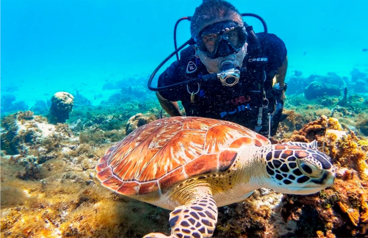 Plan Buceo en Isla Fuerte - Destino Profundo